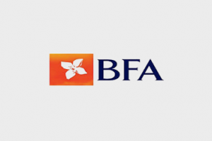 Banco BFA – SCOE – Sistema de Convergência de Objectivos Económicos